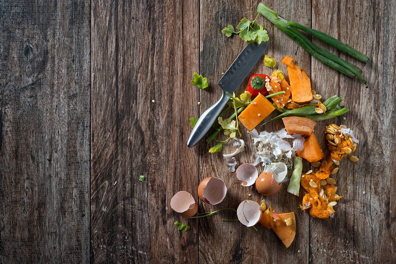 Food Waste - Affordable Waste Management