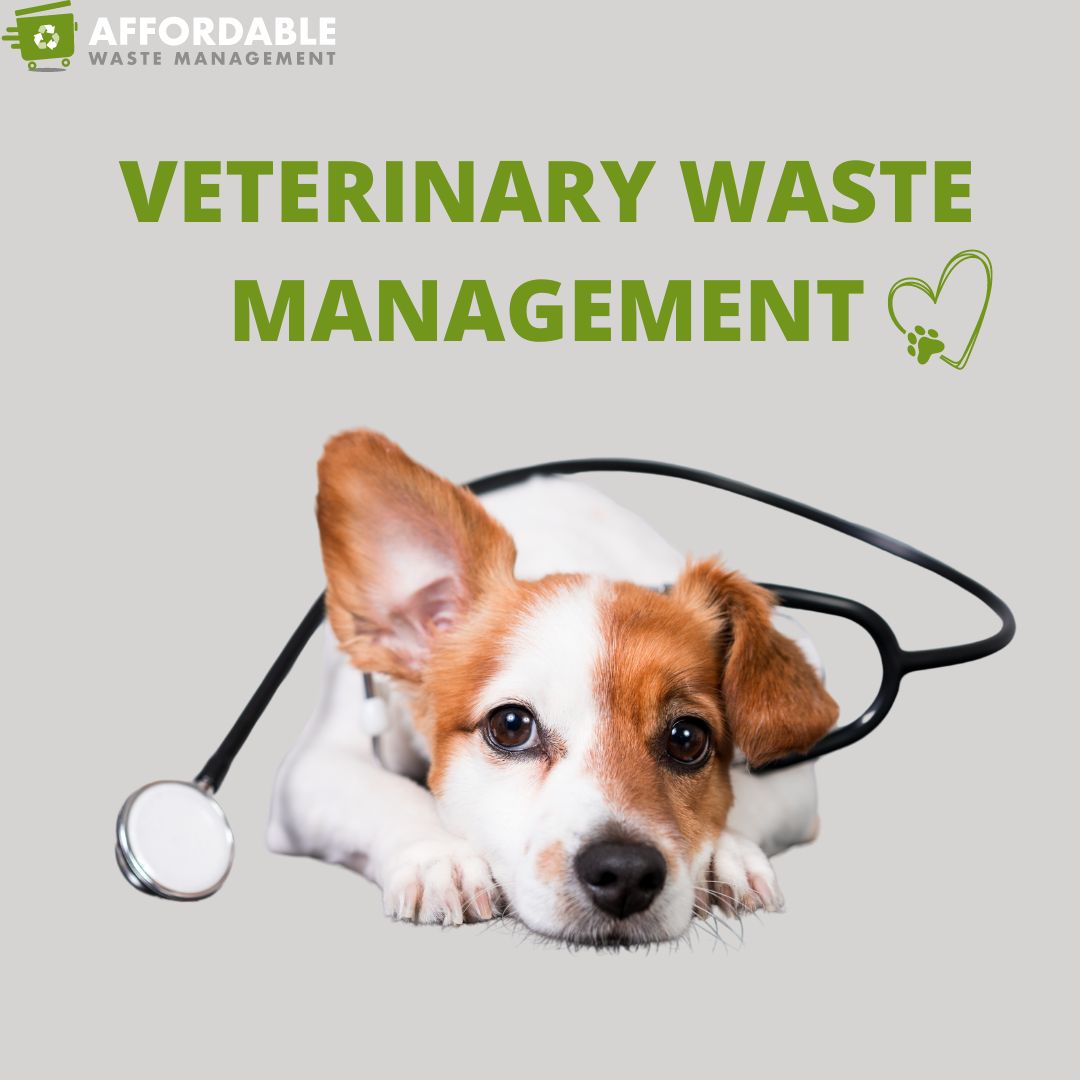 Veterinary Waste Management - Find the Best Price